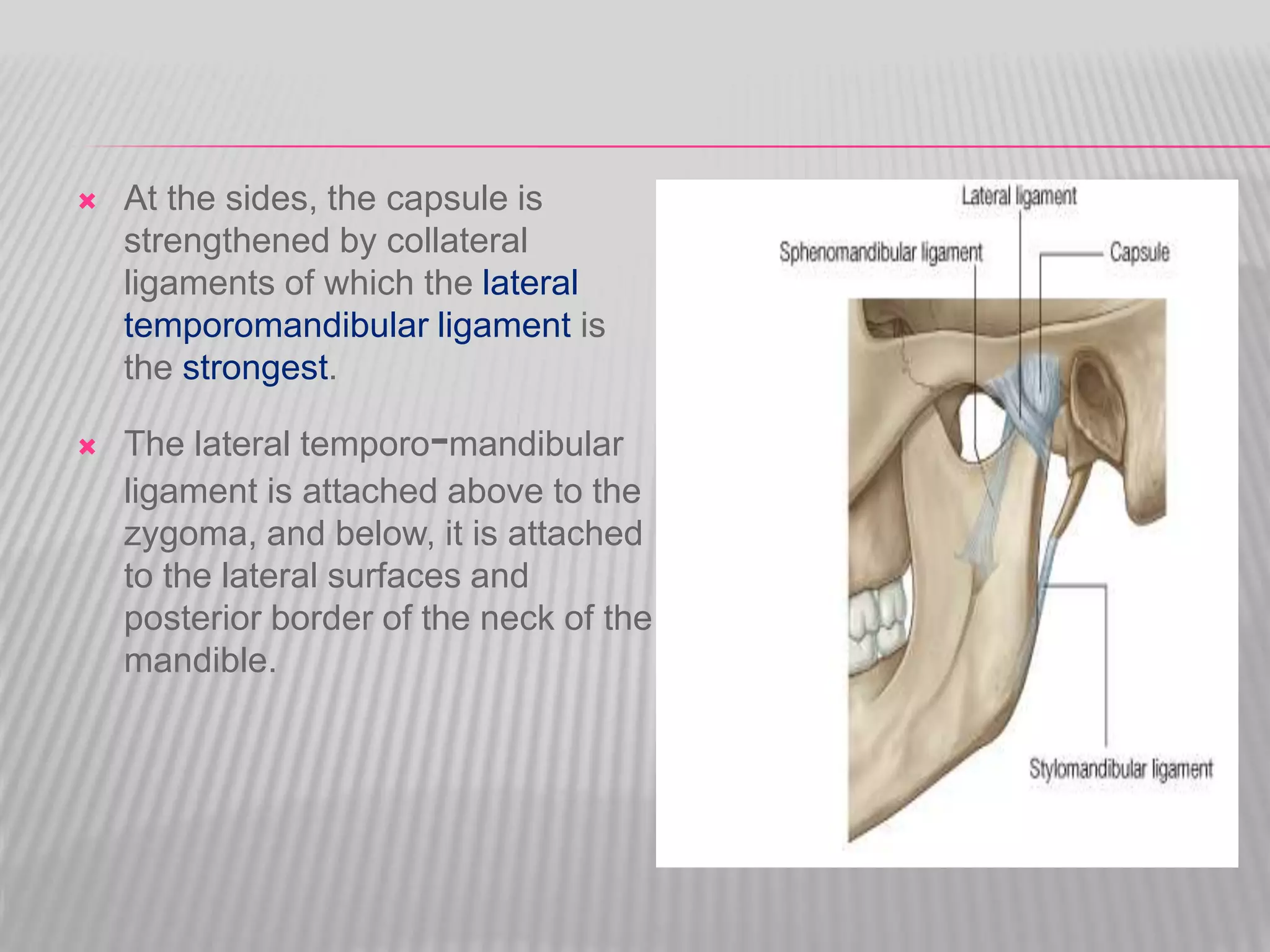 Temporomandibular Joint (TMJ ) | PPTX