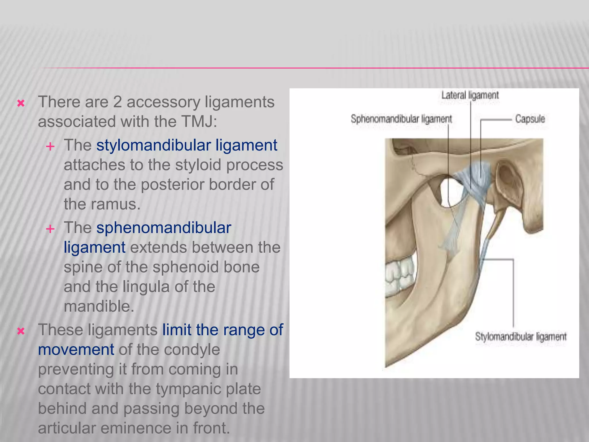 Temporomandibular Joint (TMJ ) | PPTX