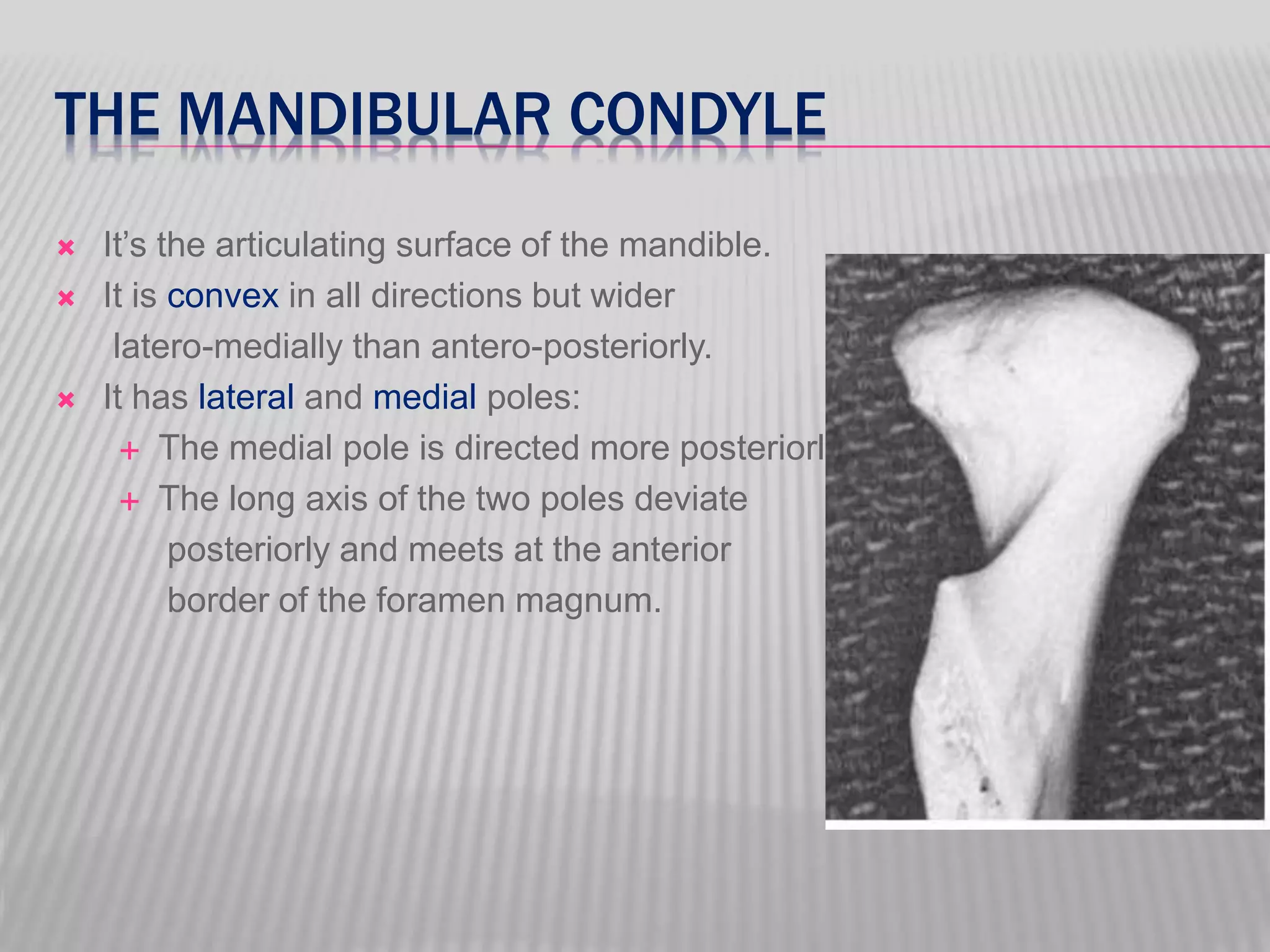 Temporomandibular Joint (TMJ ) | PPTX