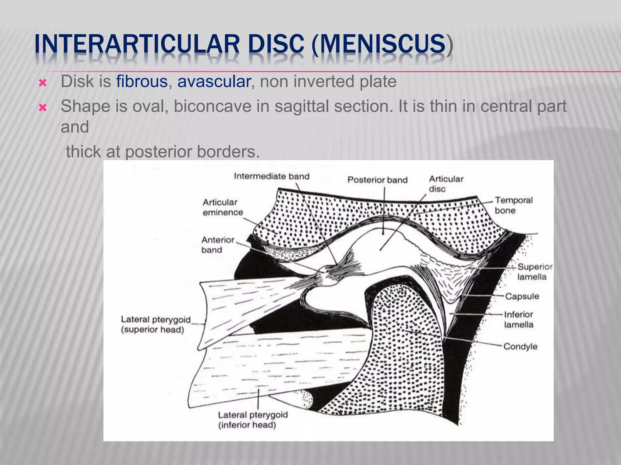 Temporomandibular Joint (TMJ ) | PPTX