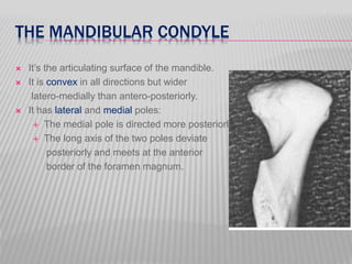 Temporomandibular Joint (TMJ ) | PPTX