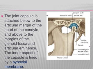 Temporomandibular Joint (TMJ ) | PPTX