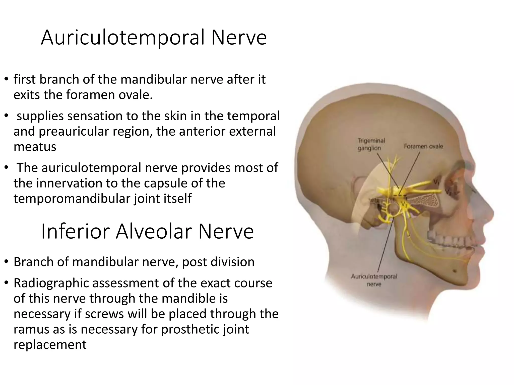Surgical Anatomy of Temporomandibular Joint | PPTX