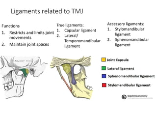 Surgical Anatomy of Temporomandibular Joint | PPTX