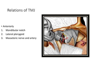 Surgical Anatomy of Temporomandibular Joint | PPTX
