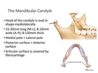 Surgical Anatomy of Temporomandibular Joint | PPTX