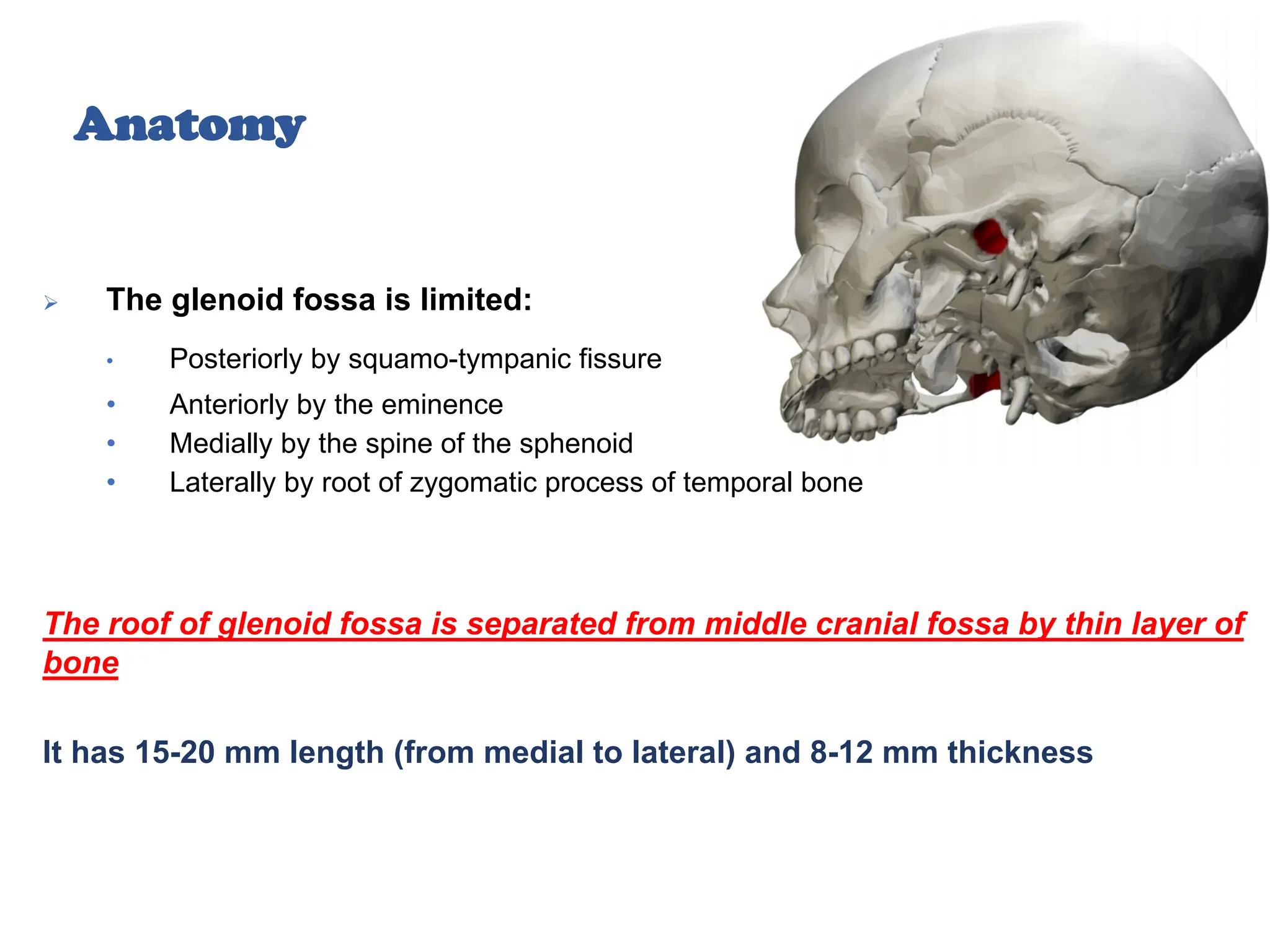 tmj tempromandibular jointanatomy and histology.pdf