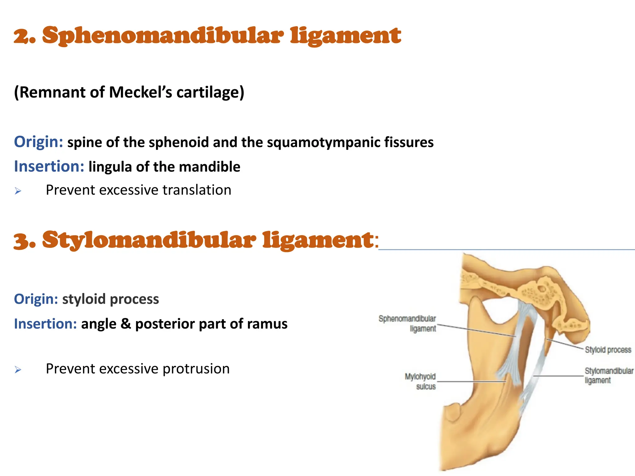 tmj tempromandibular jointanatomy and histology.pdf