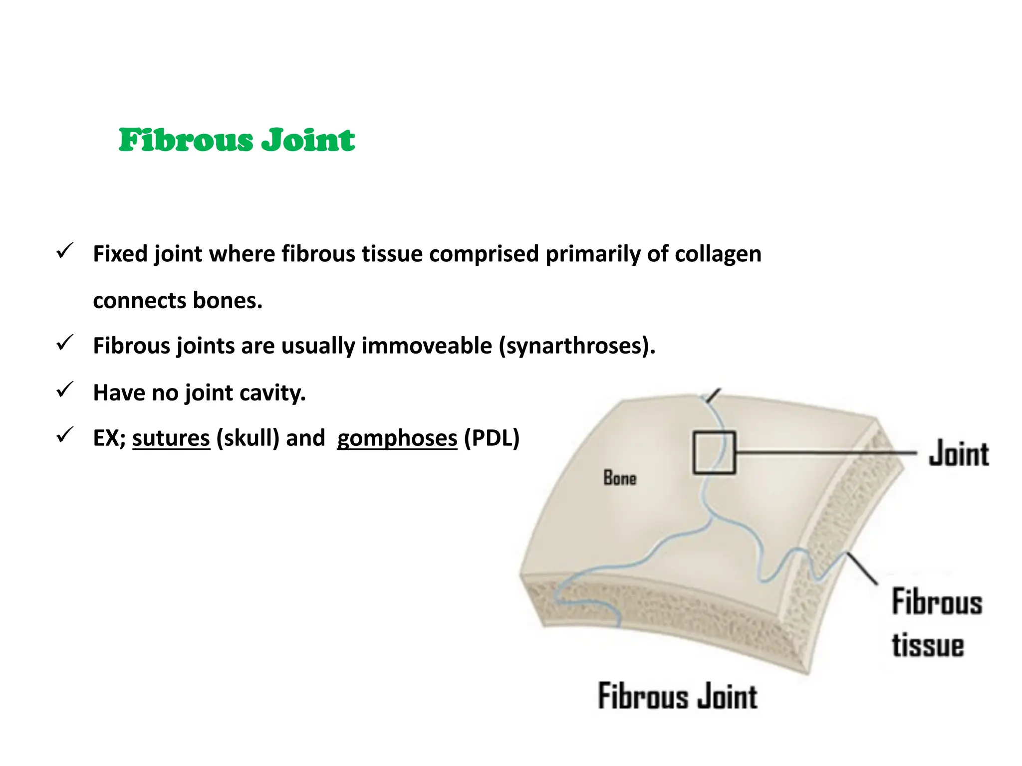 tmj tempromandibular jointanatomy and histology.pdf