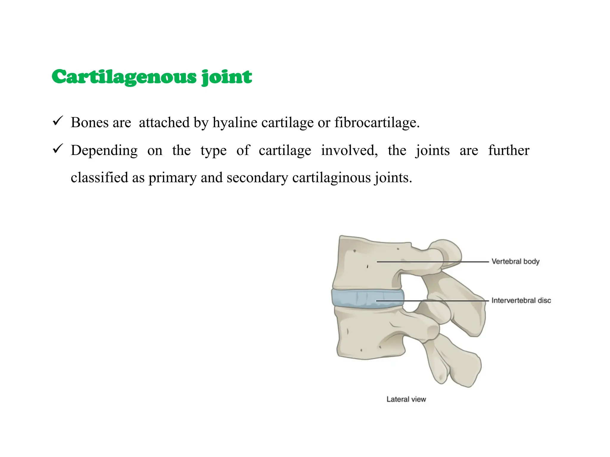 tmj tempromandibular jointanatomy and histology.pdf