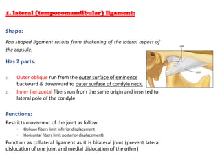 tmj tempromandibular jointanatomy and histology.pdf