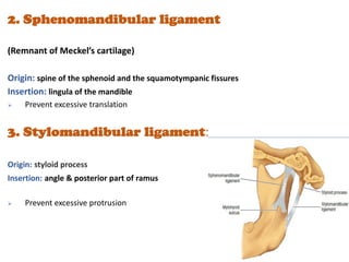 tmj tempromandibular jointanatomy and histology.pdf