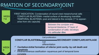temporomandibular joint anatomy and physiology | PPTX