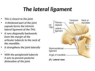 TemporoMandibular Joint Anatomy TMJ.pptx