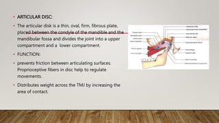 TMJ - Copy.pptx ANATOMY EXAMINITION DISORDER | PPTX