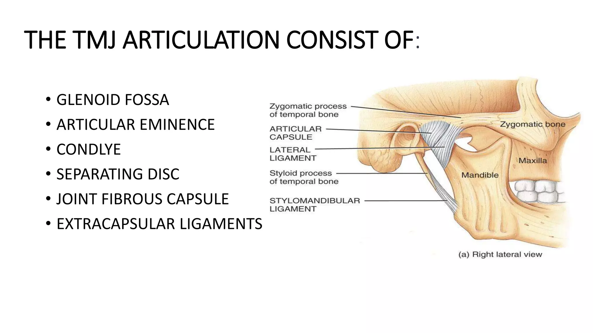 TMJ - ANATOMY & DISORDERS | PPTX