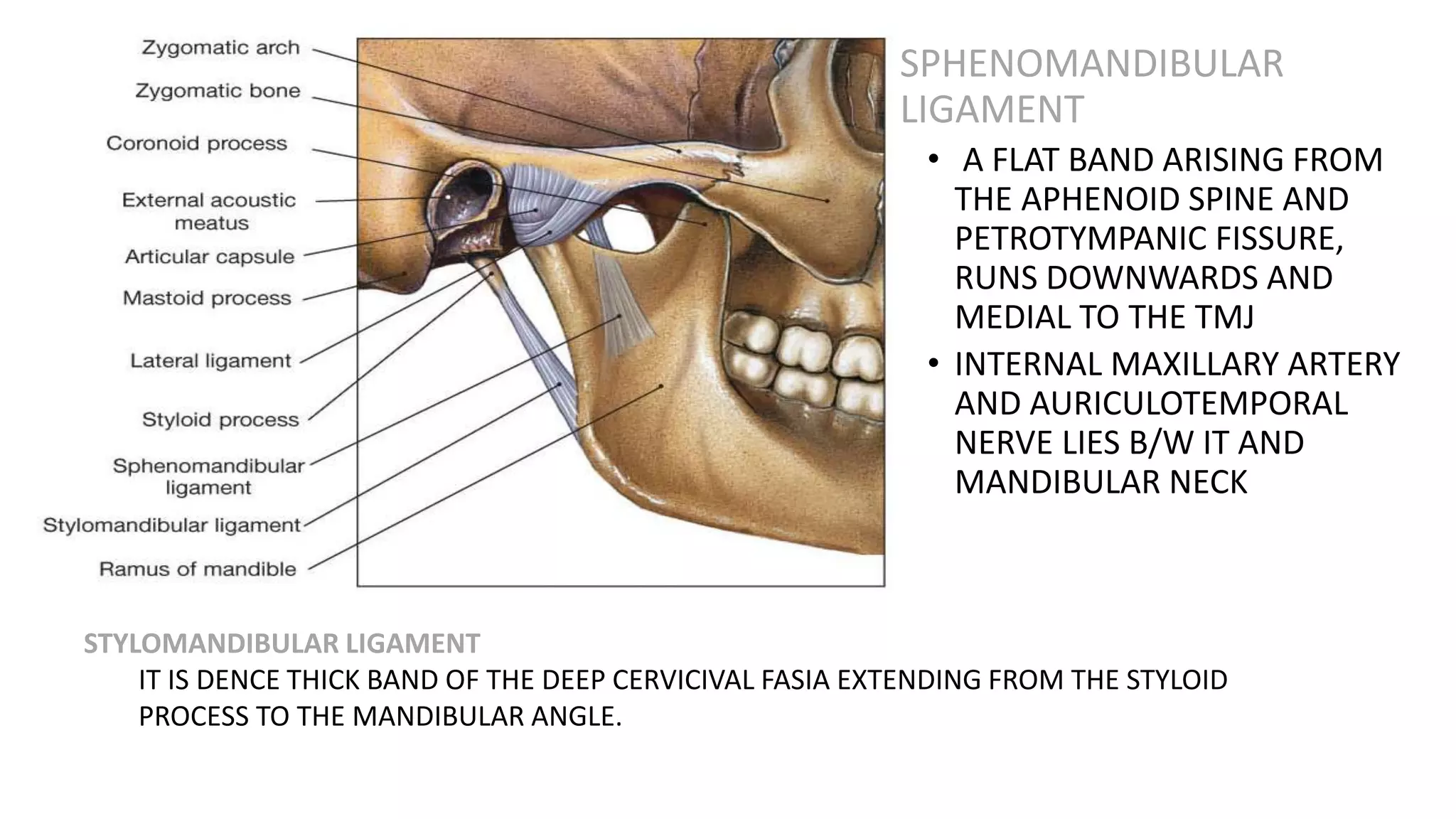 TMJ - ANATOMY & DISORDERS | PPTX