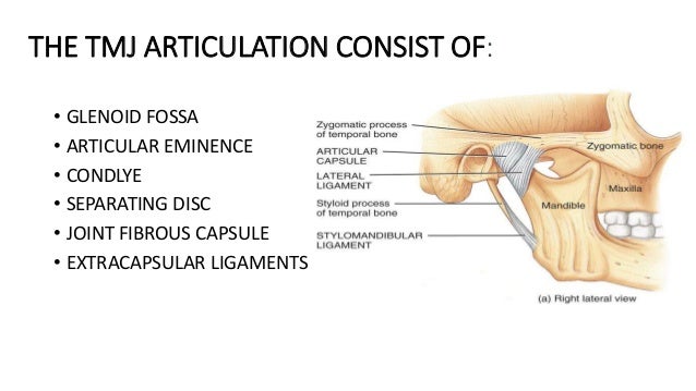 TMJ - ANATOMY & DISORDERS