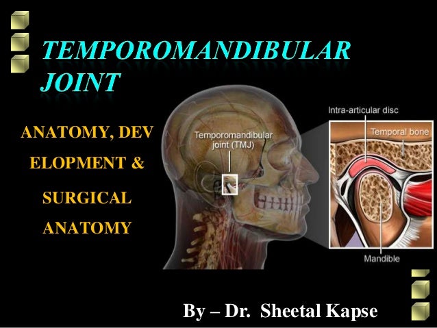 Temporomandibular Joint Disc