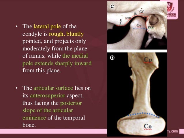 TMJ PPT By Dr.Nasser