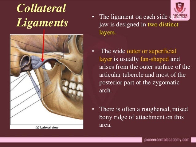 TMJ PPT By Dr.Nasser