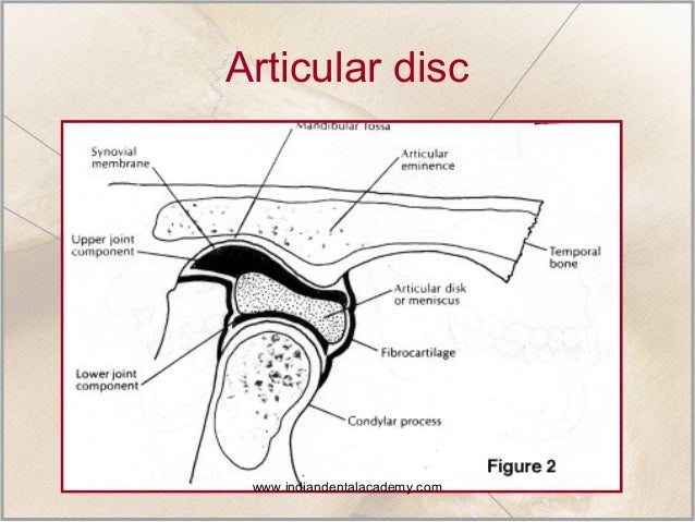 Temporomandibular joint/ fellowships in orthodontics