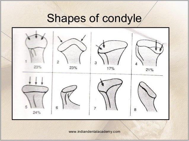 Temporomandibular joint/ fellowships in orthodontics