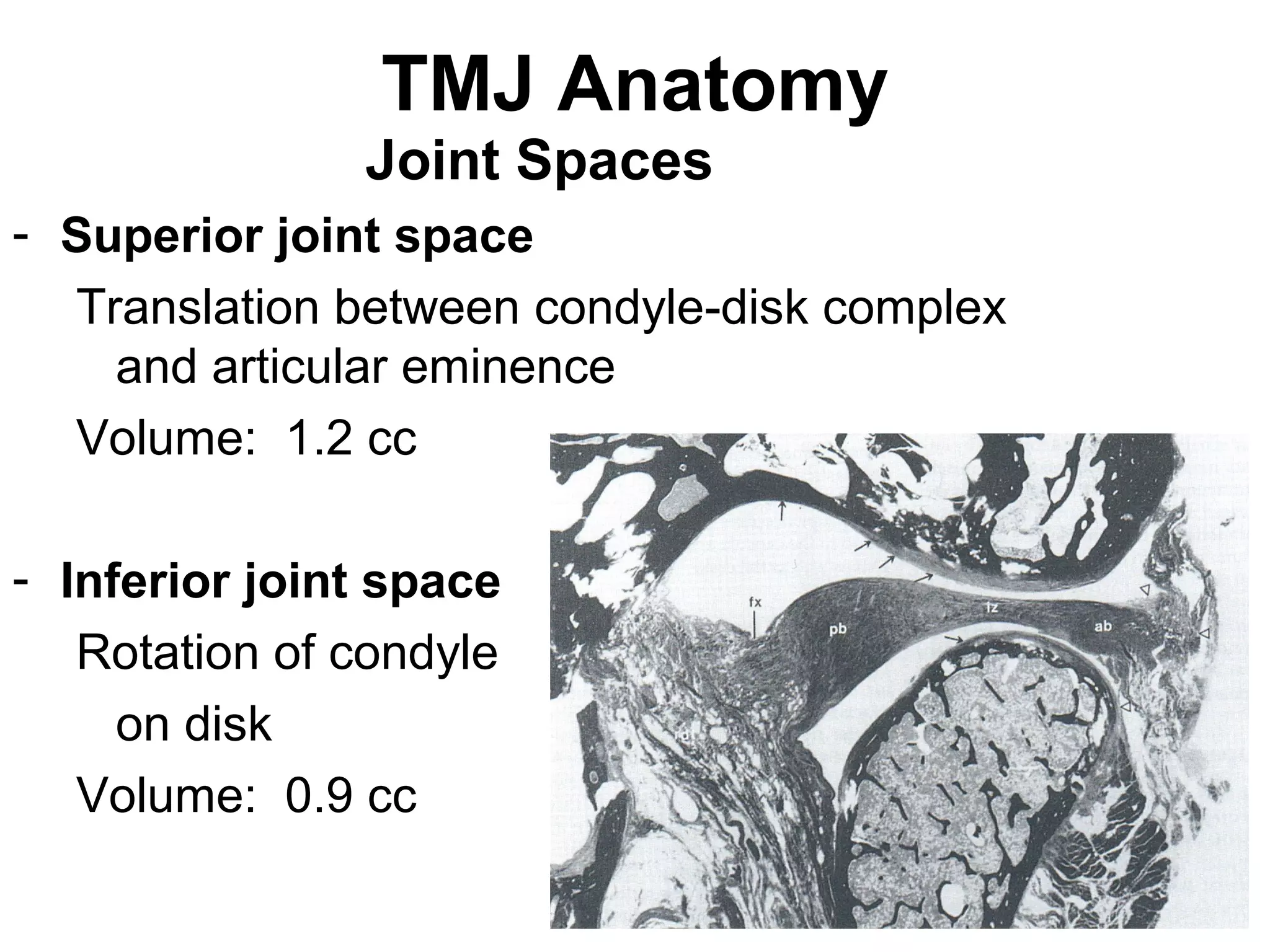 TMJ Anatomy | PPT