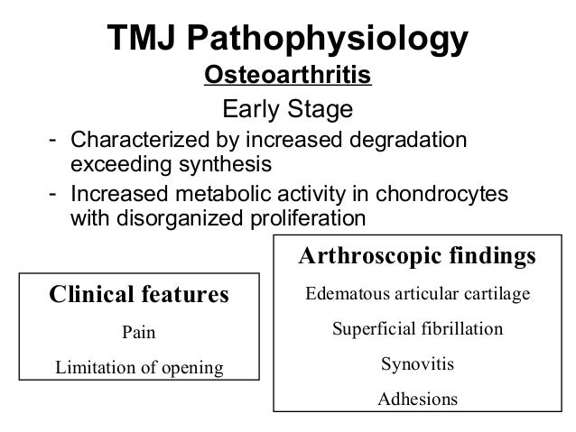 TMJ Anatomy