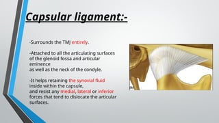 TMJ Anatomical Structures & clinical applications.pptx