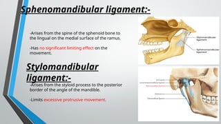 TMJ Anatomical Structures & clinical applications.pptx
