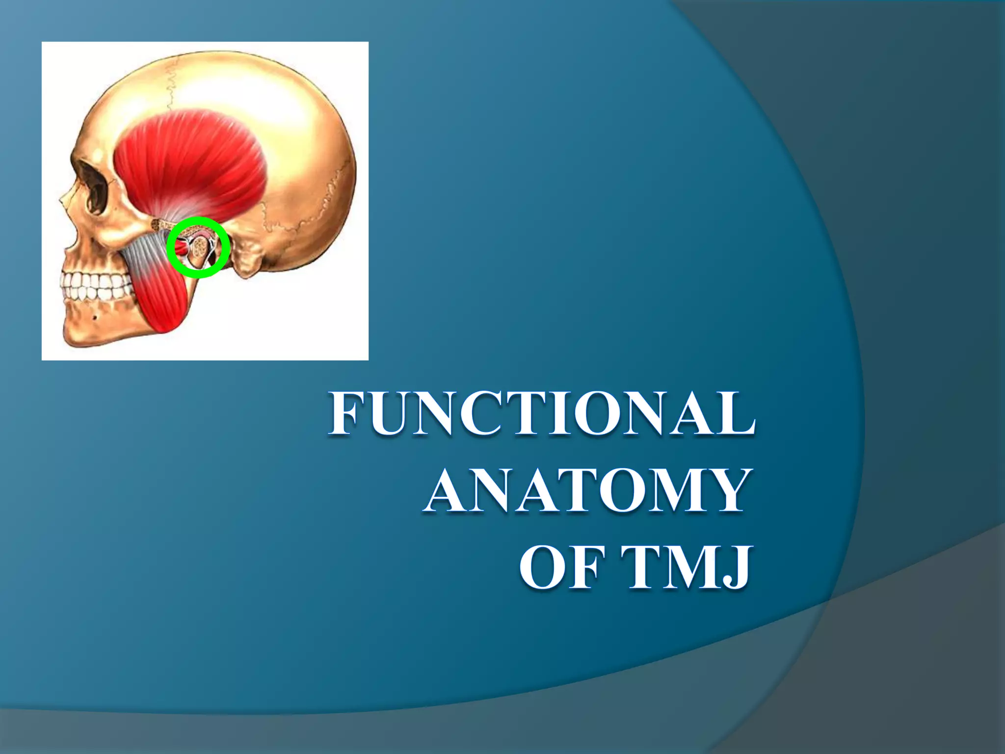 Tmj anatomy | PPTX