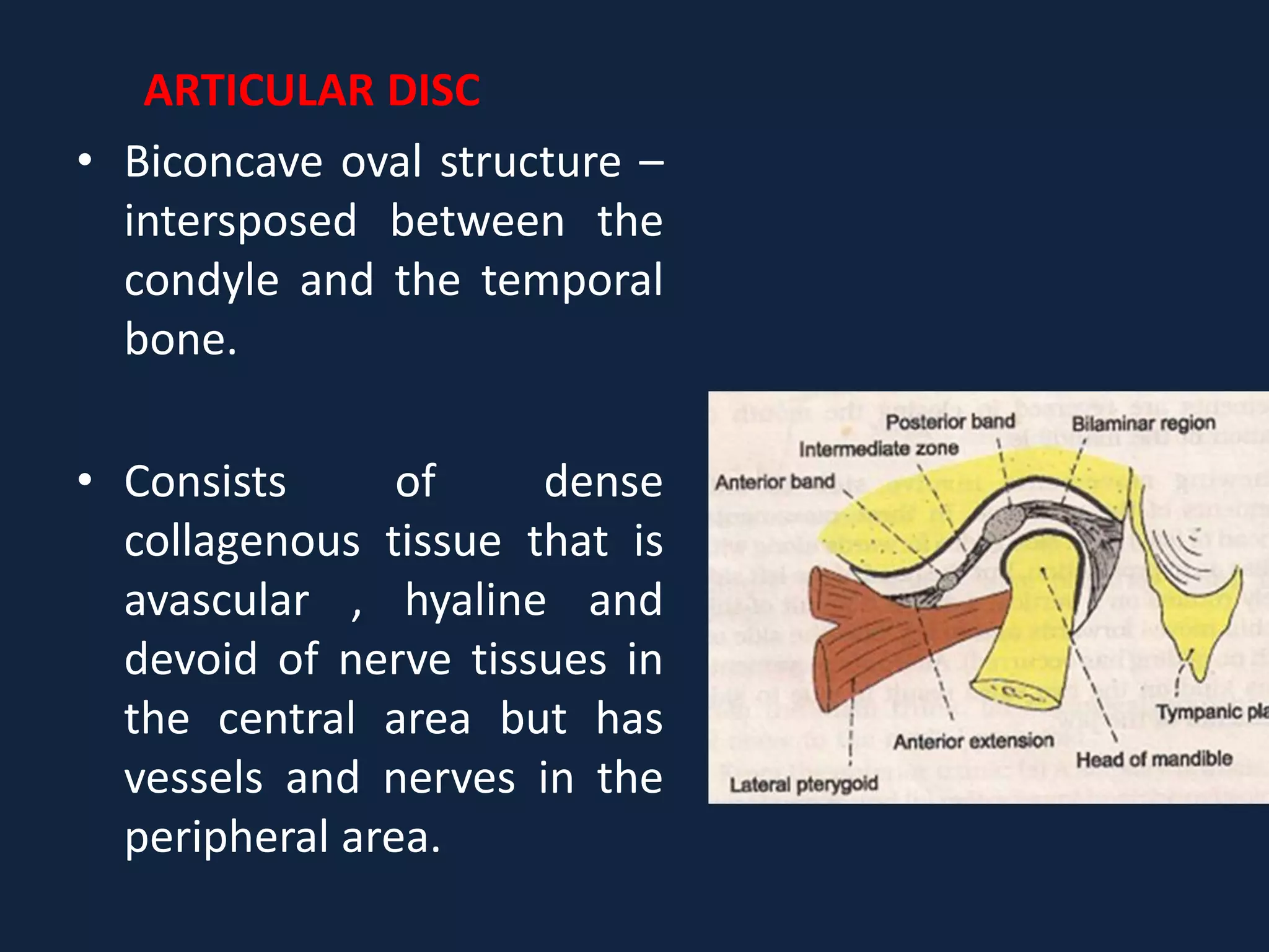 Tmj anatomy | PPTX