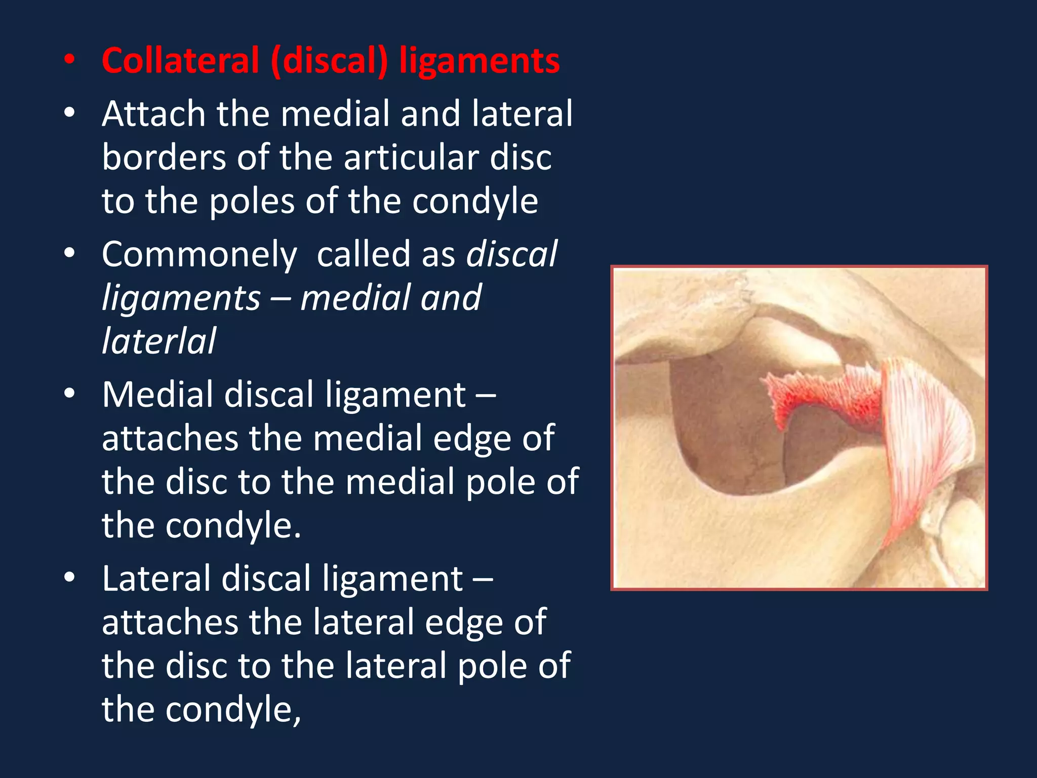 Tmj anatomy | PPTX