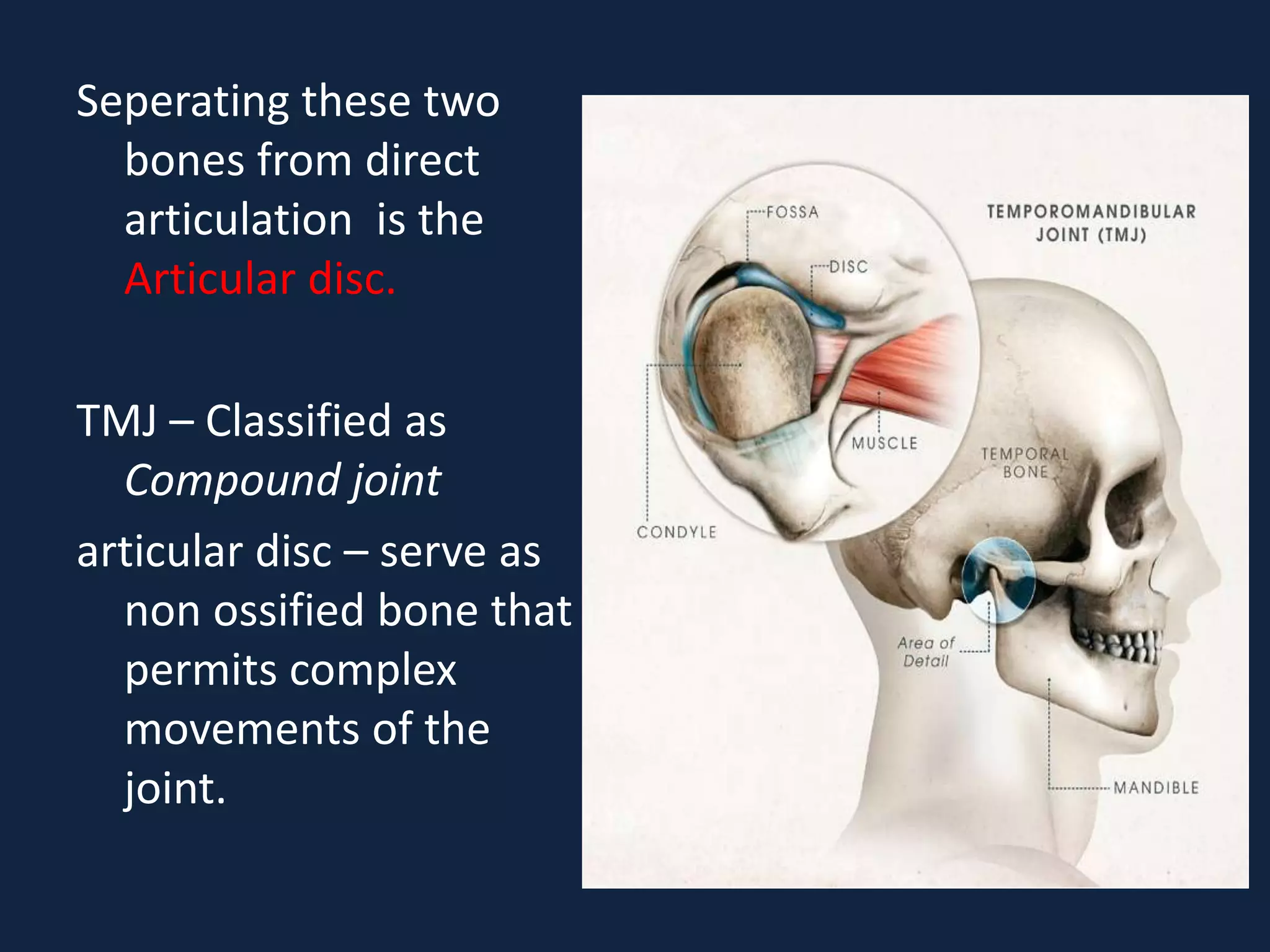 Tmj anatomy | PPTX