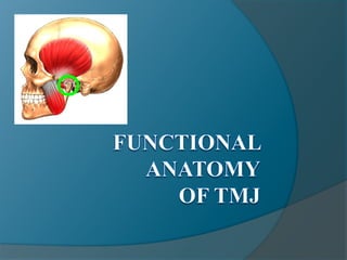 Tmj anatomy | PPTX