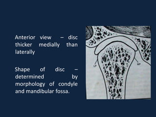 Tmj anatomy | PPTX