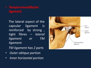 Tmj anatomy | PPTX