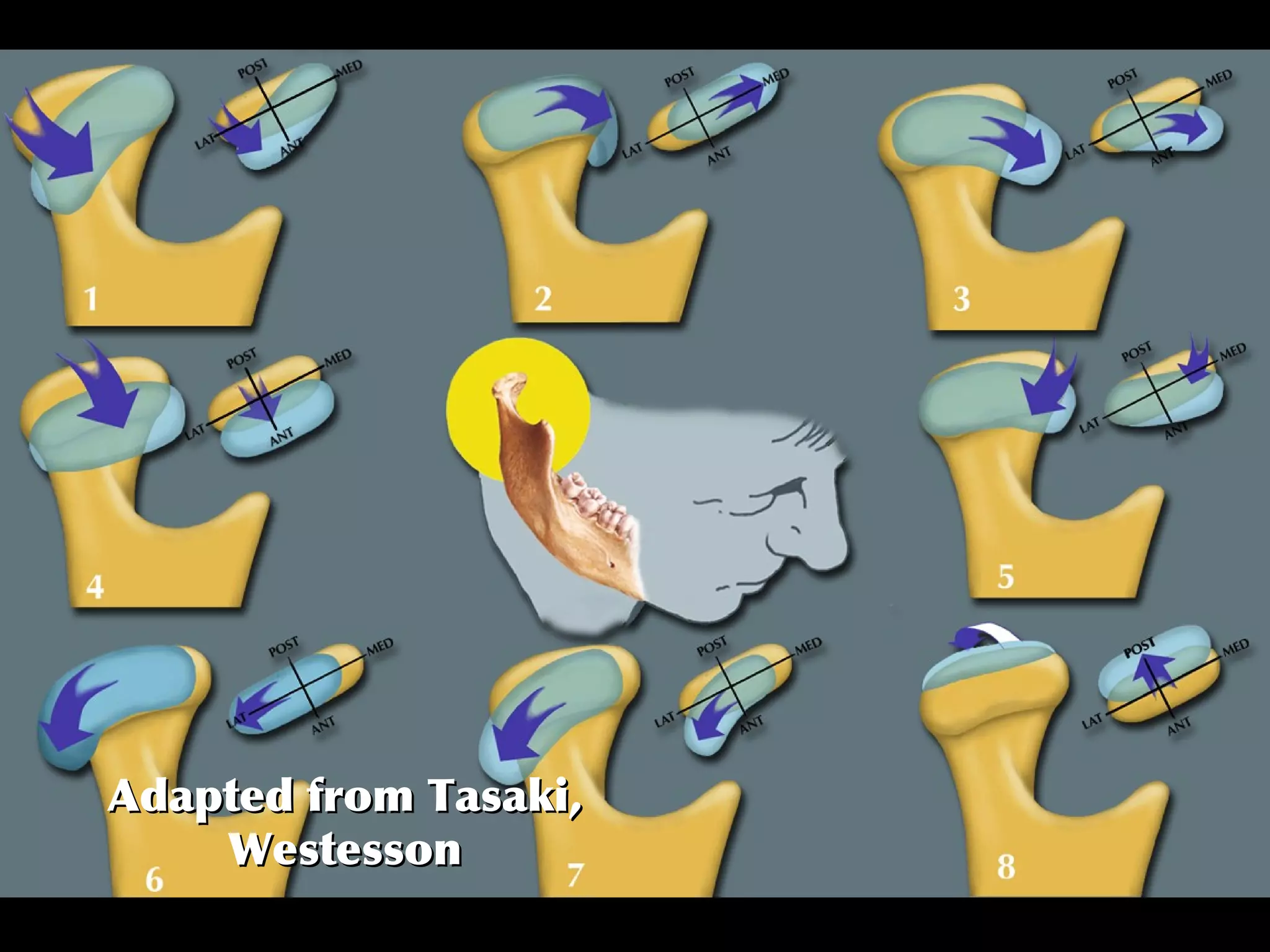 Tmj anatomy | PPT