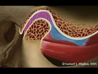 Tmj anatomy | PPT
