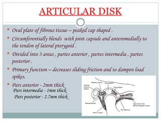 tmj anatomy powerpoint presentation basic anatomy | PPT