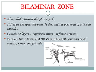 tmj anatomy powerpoint presentation basic anatomy | PPT