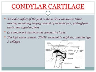 tmj anatomy powerpoint presentation basic anatomy | PPT
