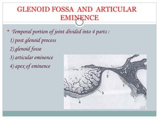 tmj anatomy powerpoint presentation basic anatomy | PPT