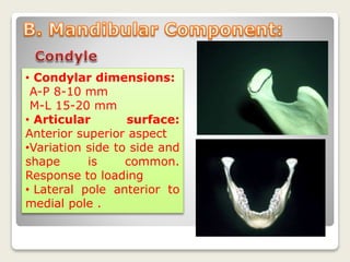 Tmj anatomy and problems by Dr.mostafa kareem | PPTX