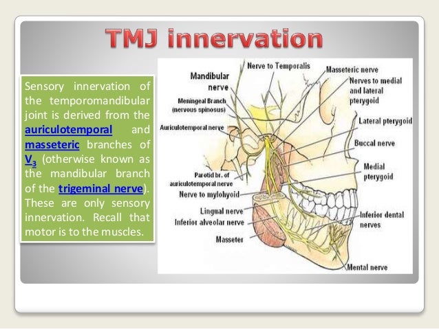 Tmj anatomy and problems by Dr.mostafa kareem