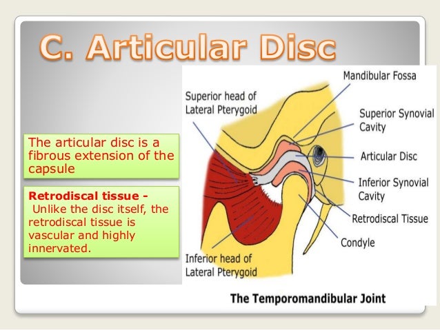 Tmj anatomy and problems by Dr.mostafa kareem