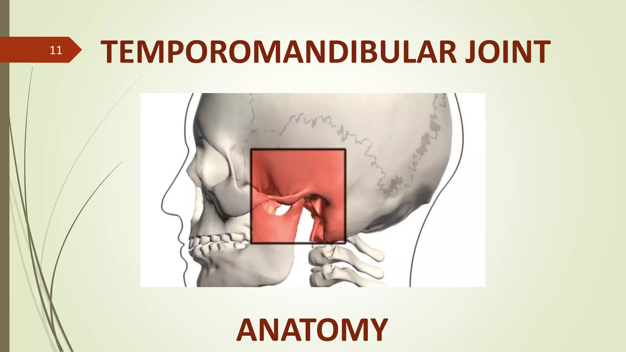 TMJ Anatomy and TMD | PPTX
