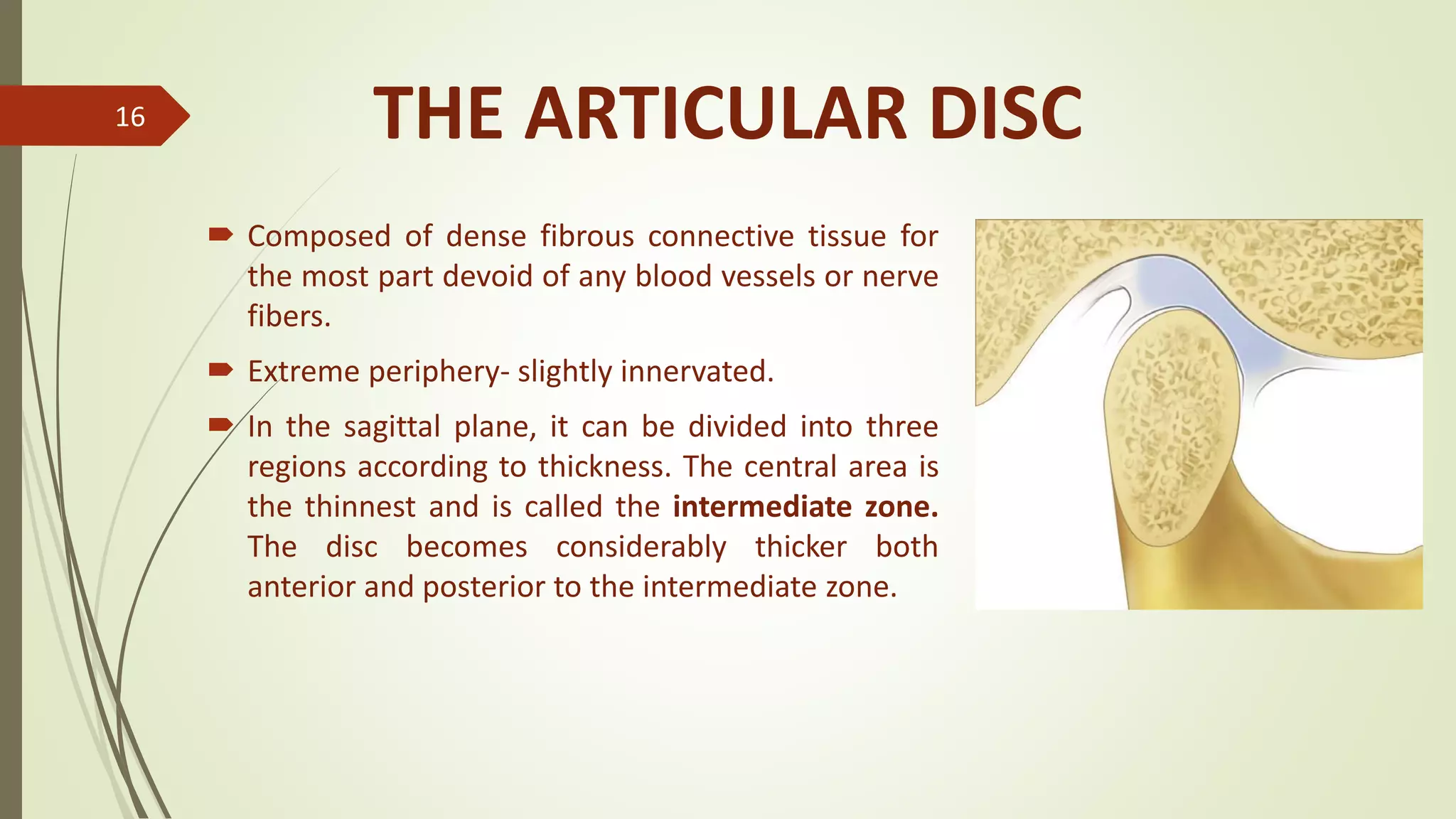 TMJ Anatomy and TMD | PPTX