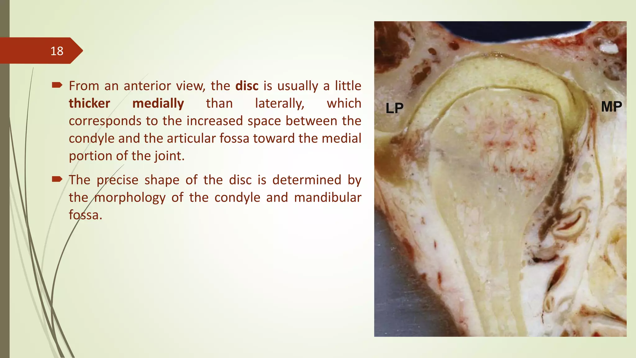 TMJ Anatomy and TMD | PPTX